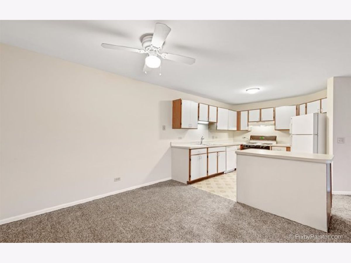 1336 Mcdowell Road, Naperville, Illinois 60563 - MLS 10945803 - WinterCohen