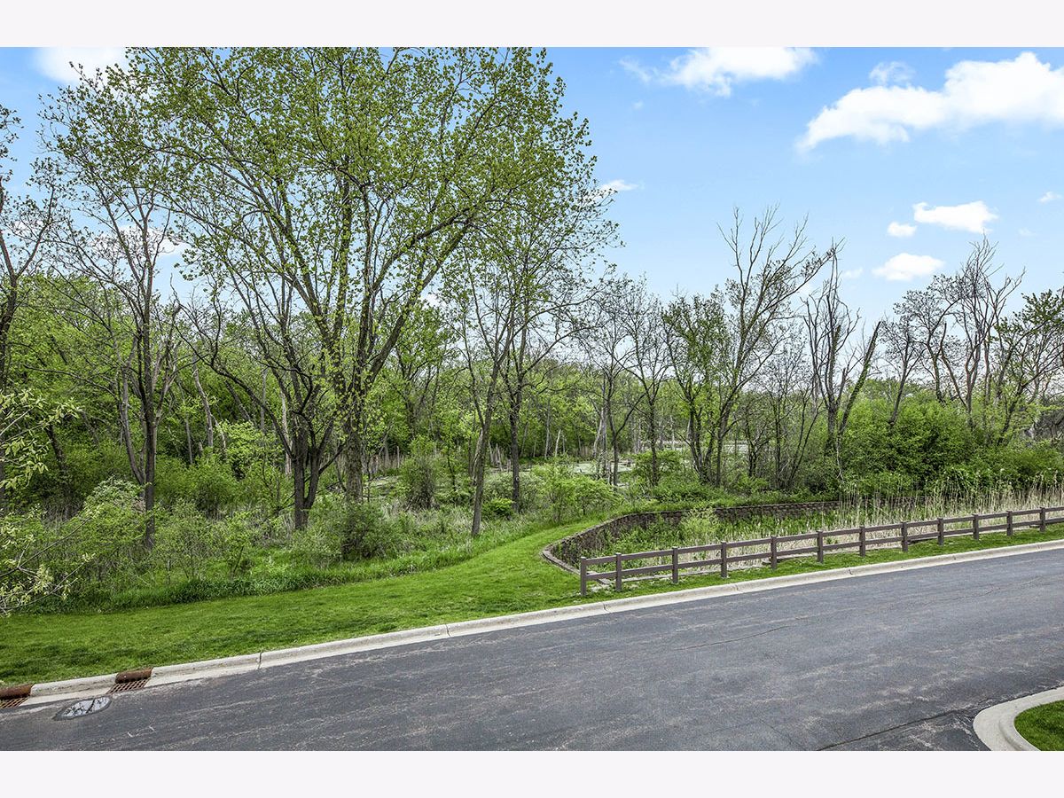 0N058 Woodland Court, Winfield, Illinois 60190 - MLS 11085653 - WinterCohen