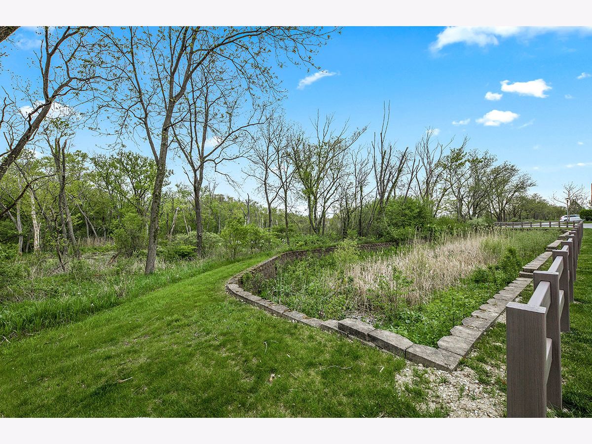 0N058 Woodland Court, Winfield, Illinois 60190 - MLS 11085653 - WinterCohen