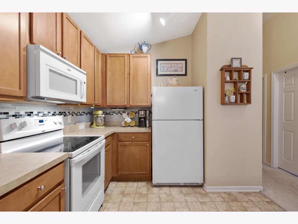 136 Bertram Drive, Yorkville, Illinois 60560 - MLS 11119882 - WinterCohen