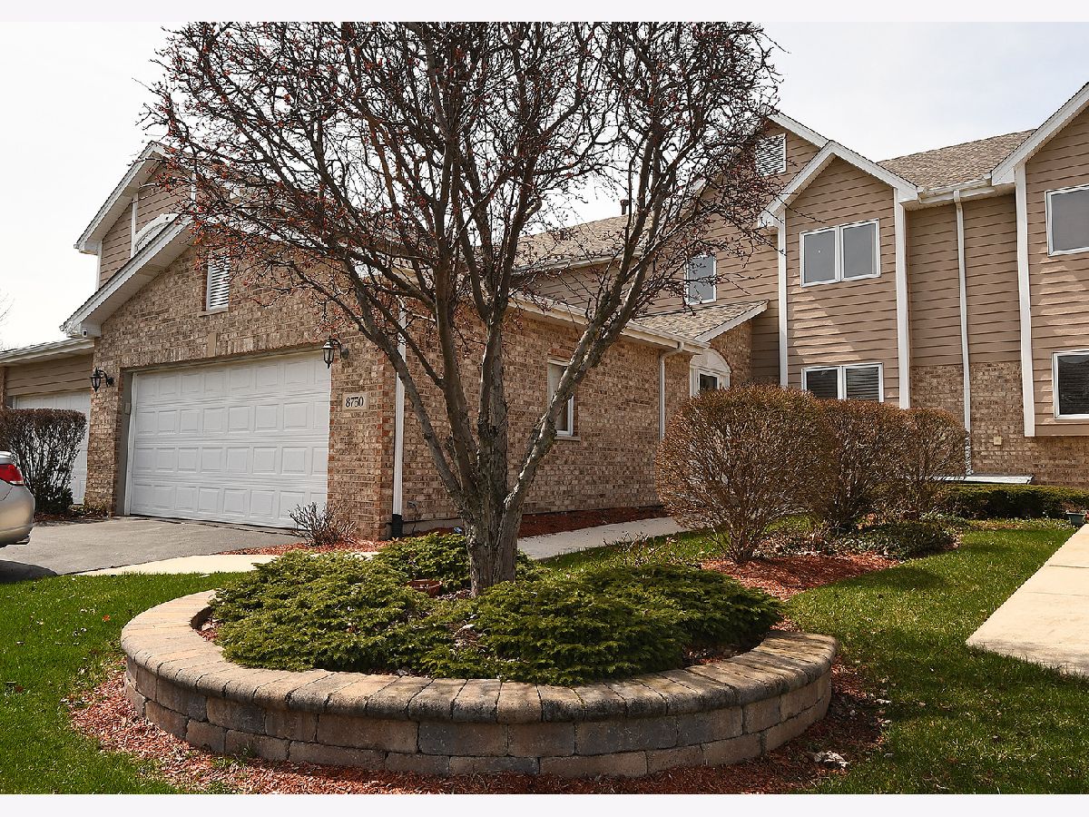 8750 Ballycastle Lane, Tinley Park, Illinois 60487 - MLS 11372471 ...