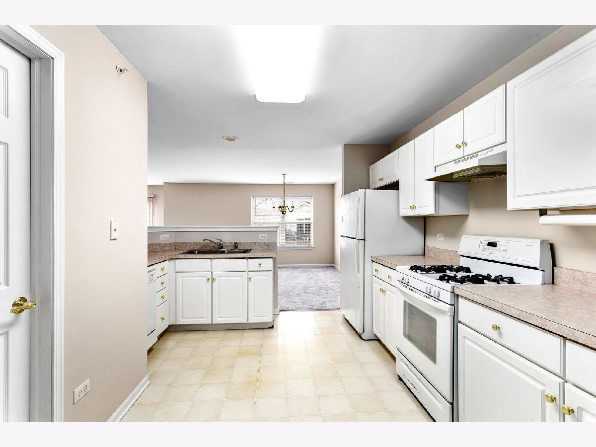 13818 Bristlecone Lane, Plainfield, Illinois 60544 - MLS 11684151 ...