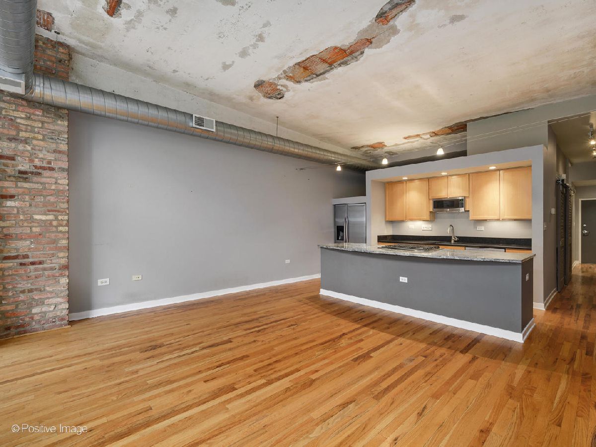 1910 Indiana Avenue, Chicago, Illinois 60616 - MLS 11698446 - WinterCohen