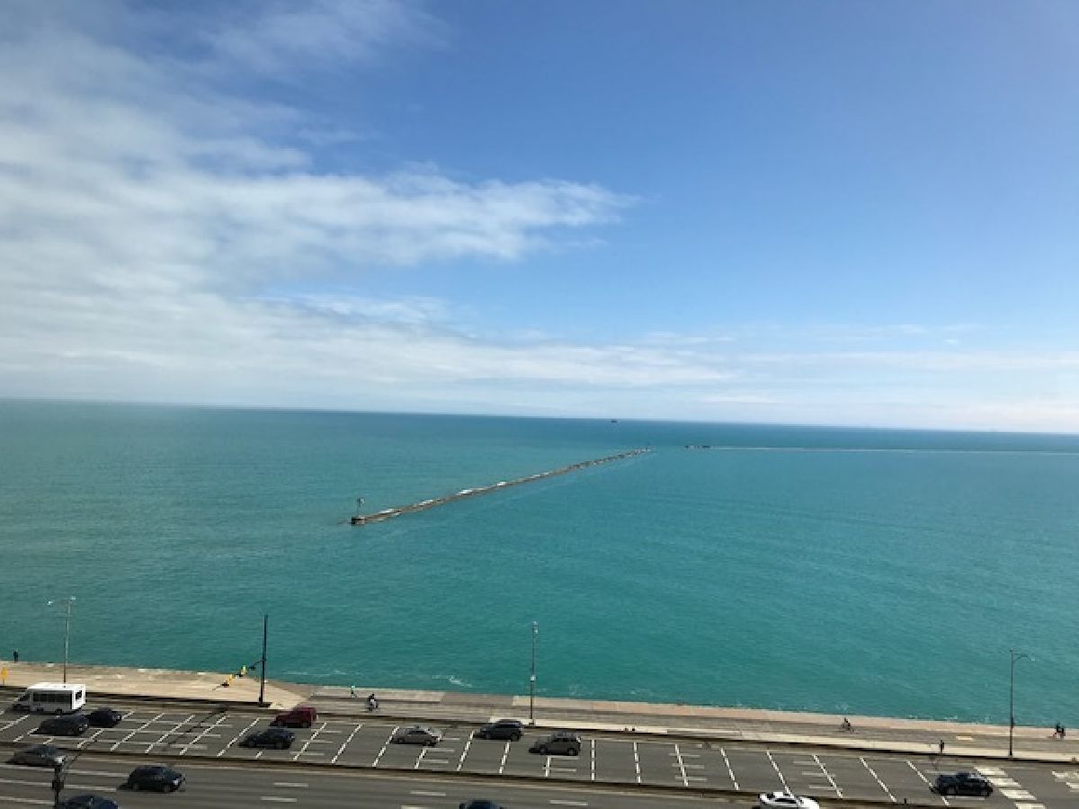 910 Lake Shore Drive, Chicago, Illinois 60611 - MLS 11699295 - WinterCohen