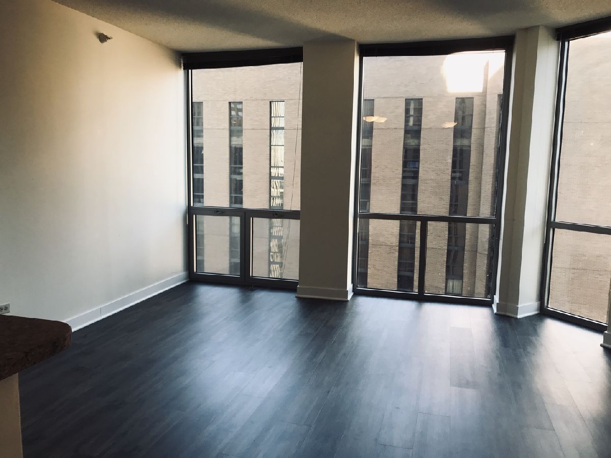 222 Columbus Drive, Chicago, Illinois 60601 - MLS 11713397 - WinterCohen