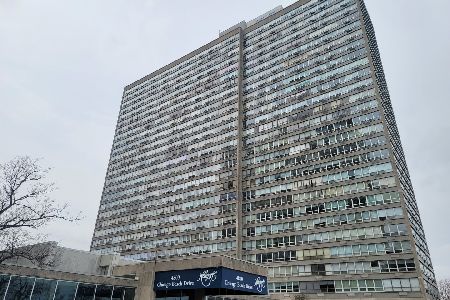 4800 Chicago Beach Drive, Chicago, Illinois 60615 - MLS 11759994 ...