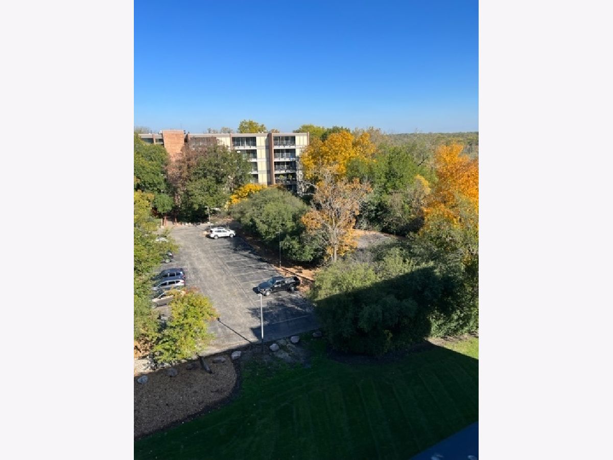 6010 Oakwood Drive, Lisle, Illinois 60532 - MLS 11892065 - WinterCohen