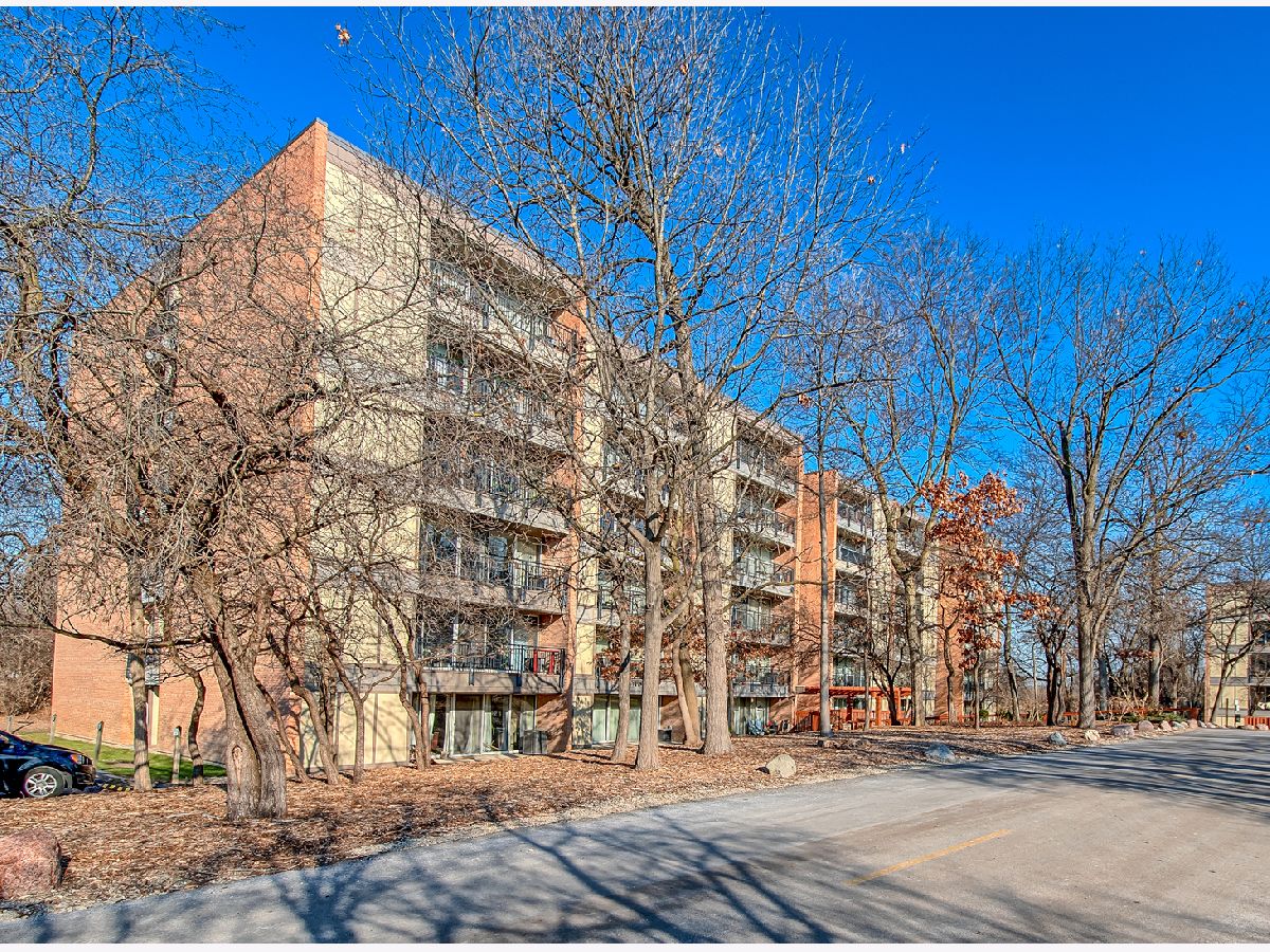 6010 Oakwood Drive, Lisle, Illinois 60532 - MLS 11950291 - WinterCohen