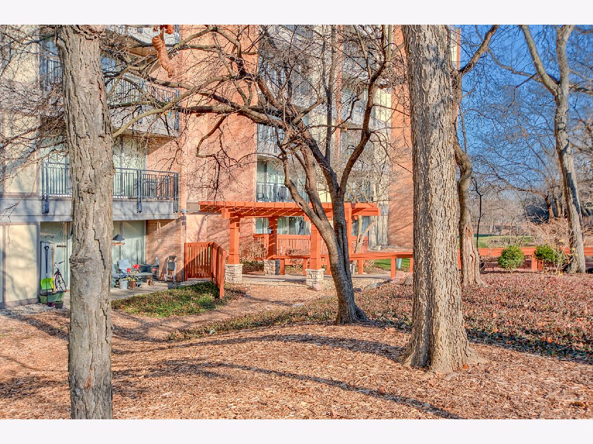 6010 Oakwood Drive, Lisle, Illinois 60532 - MLS 11950291 - WinterCohen