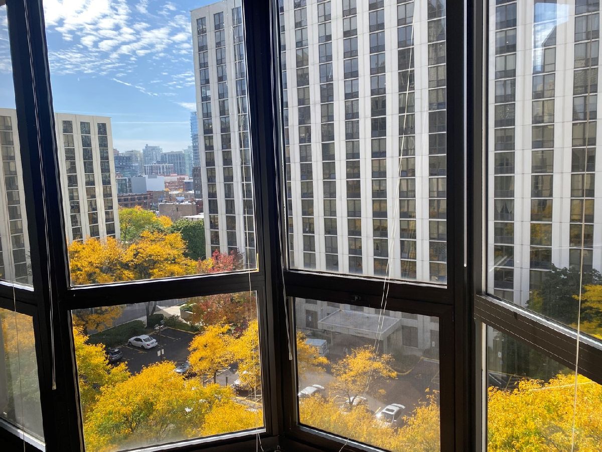 1000 Lasalle Drive, Chicago, Illinois 60610 - MLS 12016315 - WinterCohen