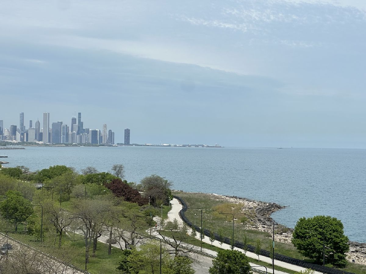 4800 Chicago Beach Drive, Chicago, Illinois 60615 - MLS 12056790 ...