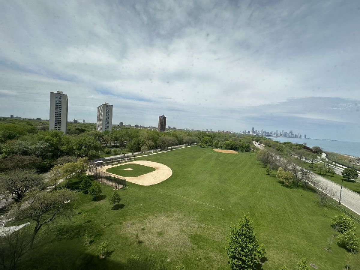 4800 Chicago Beach Drive, Chicago, Illinois 60615 - MLS 12056790 ...